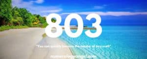 803 Angel Number Meaning and Symbolism - Numerology Angel